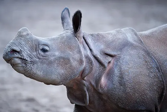 Shades of Green | 160 Green Colors with Names, Pictures & Hex Codes ...