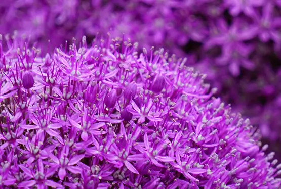 Shades of Green | 160 Green Colors with Names, Pictures & Hex Codes ...