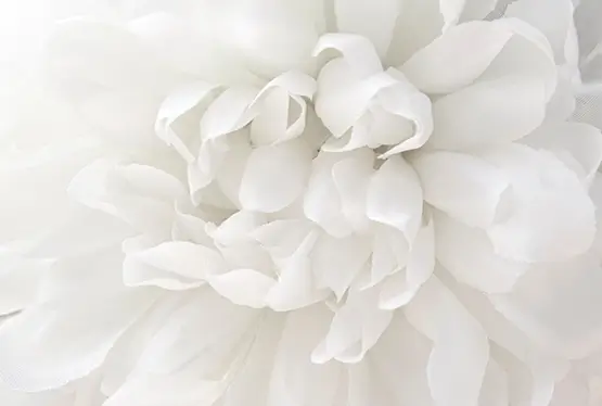 Shades of Green | 160 Green Colors with Names, Pictures & Hex Codes ...